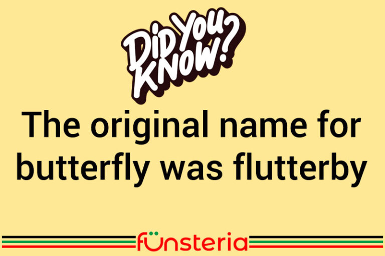 Flutterby Fly By – Funsteria