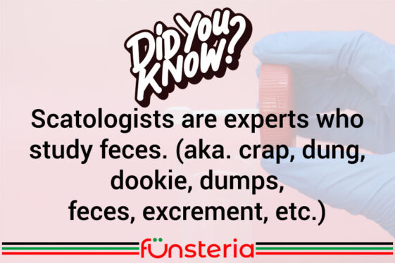 Oh…Crap – Funsteria